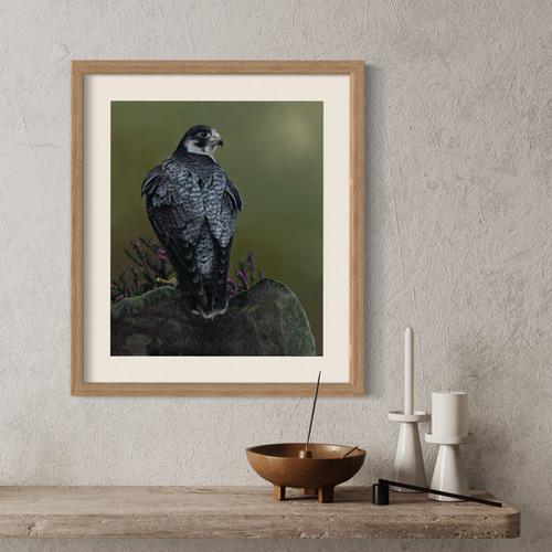 The Lookout - Peregrine Falcon | Claire Milligan Art