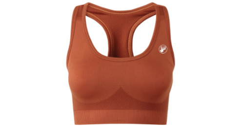 3D Fit Sports Bra Rust | The 3rd Monkey