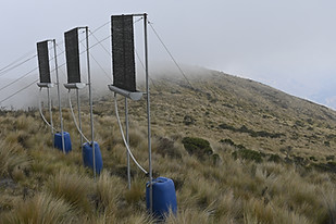 Fog harvesting | aqualonis | München