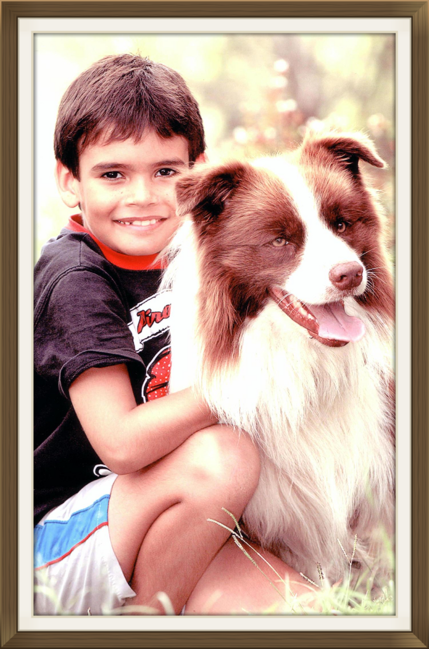 Pedigree Border Collie Breeders | Borderstrand Border Collies | Wolvi