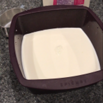 Steamer DIY Greek Yogurt