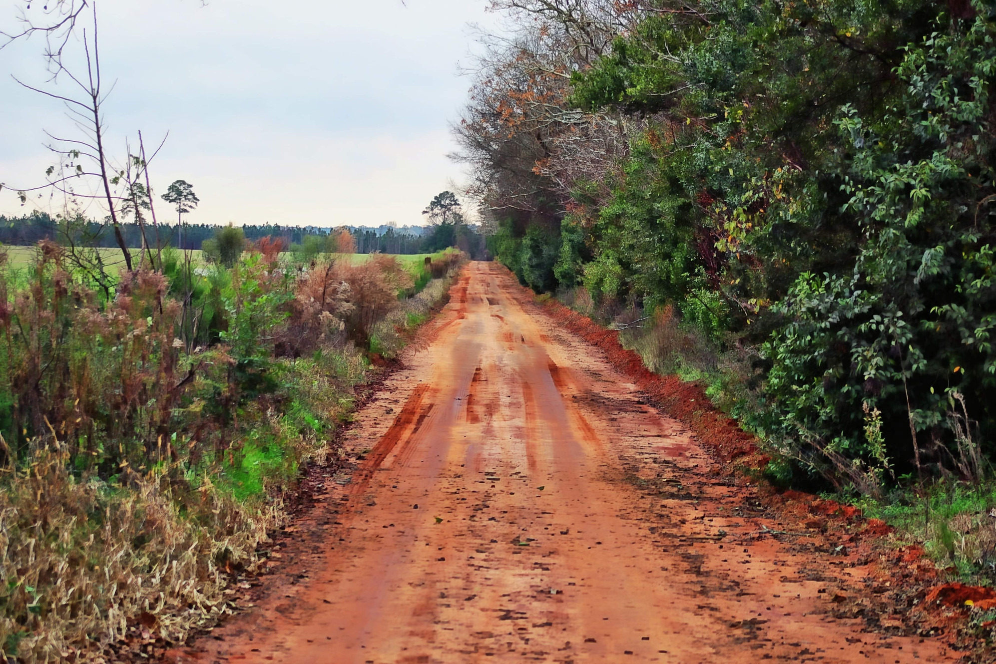 Home | Barn Quilt Trail
