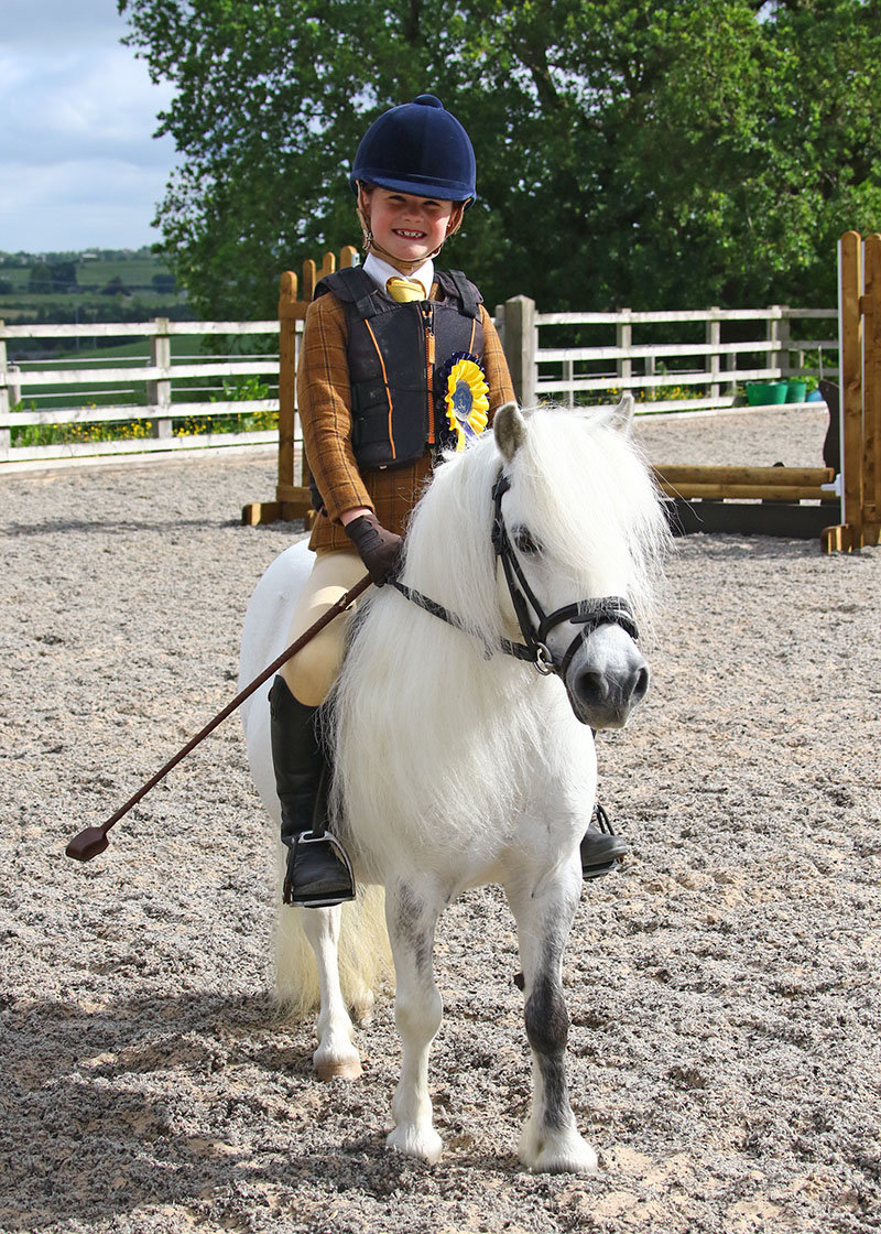 June Inhand, Ridden & Working Hunter Show | Selston Equestrian