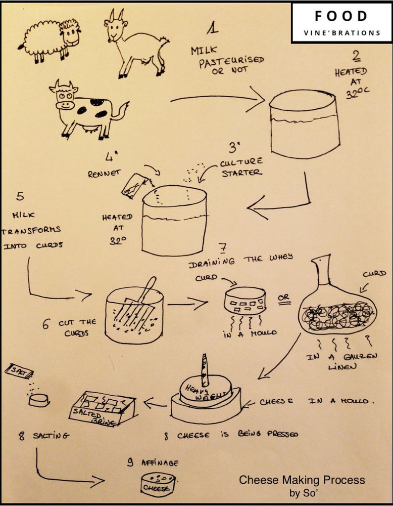Simple Cheese Making Process Diagram From Milk To Cheese