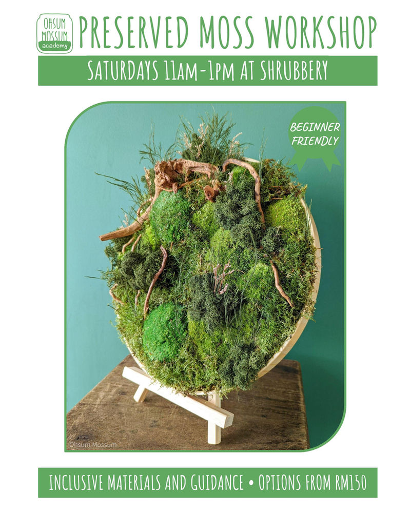 Preserved Moss Workshop