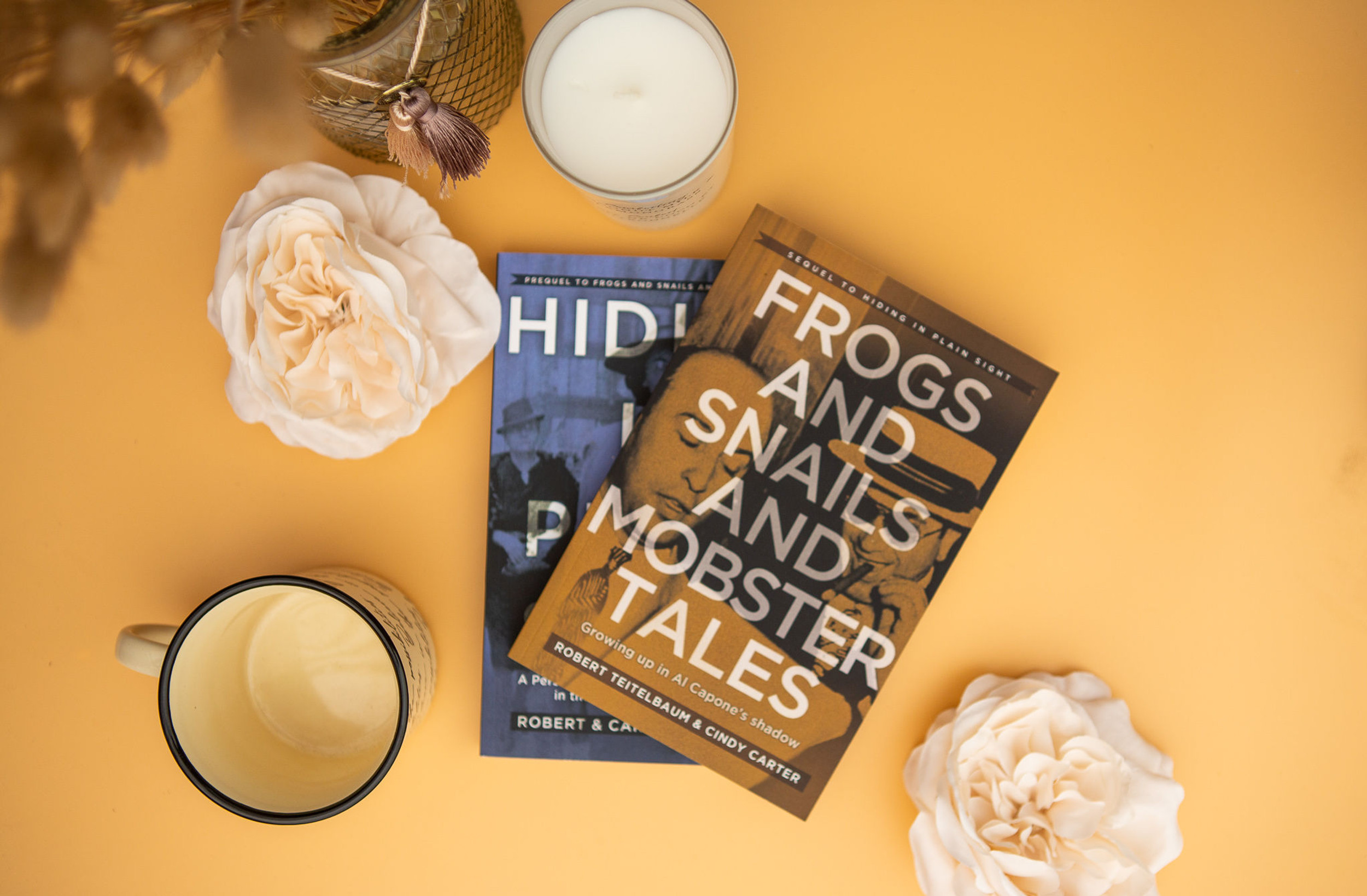 BOOKS | Teitelbaum Publishing