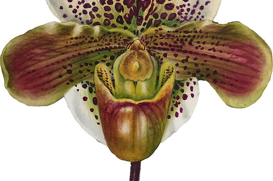 Nellie Roberts | San Mei Gallery