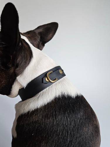 D-Ring Tab Add On | Venture Nines