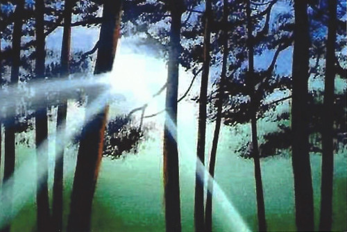 "Forest Rays" Painting Packet | Wilson Bickford