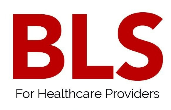 AHA BLS Provider 8am | Santiam CPR