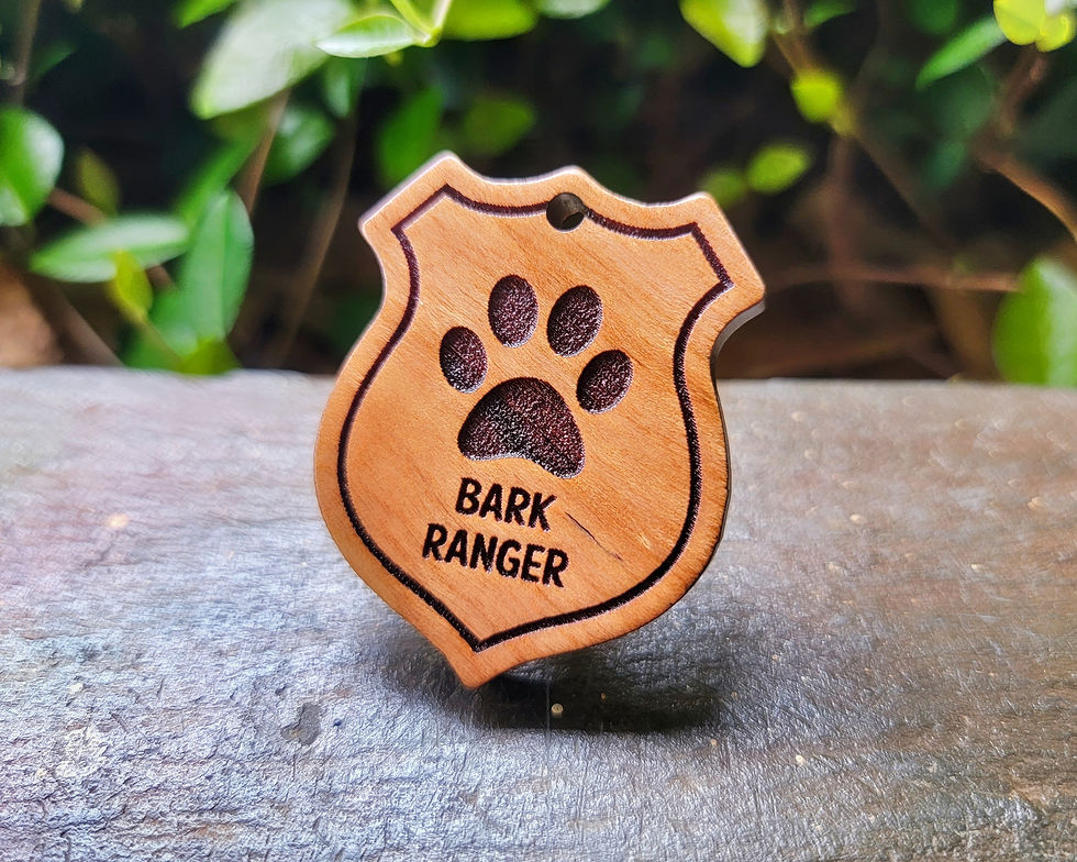 Bark Ranger Pet Tag | BarkwoodCo