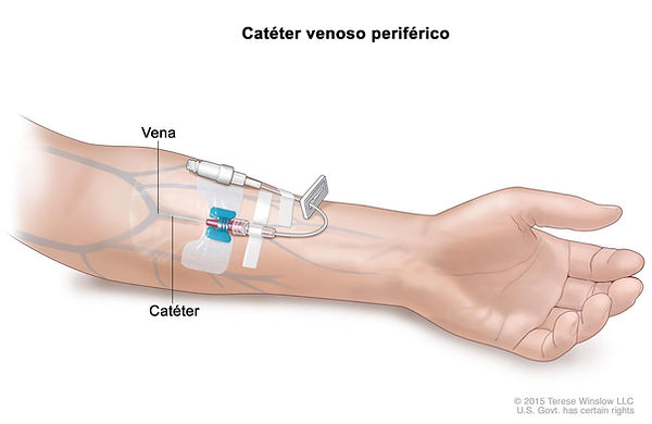 UNIDAD#3 VIN | CEFMED-SST