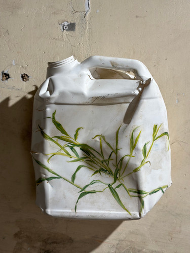 Trash Weed, 2008 | Ki Smith Gallery