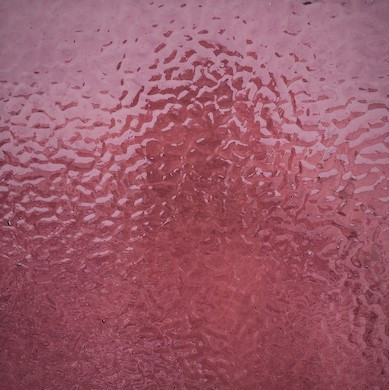 Paradise Bird Nova | Axess Glass Products