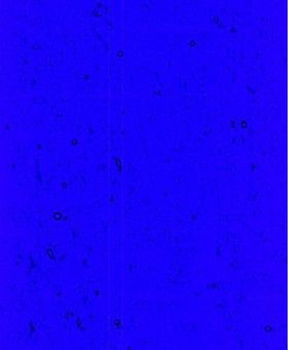 Kokomo Dark Cobalt Blue | Axess Glass Products