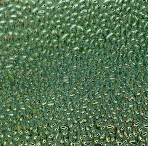 Light Green Legacy | Axess Glass Products