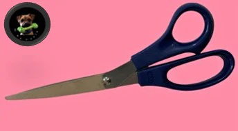 Max Foil Shears | Axess Glass Products