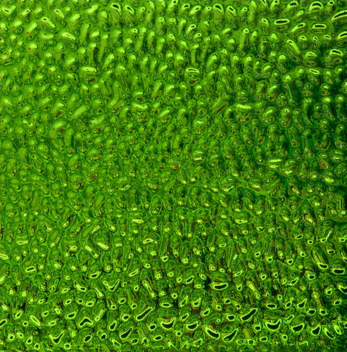 Chartreuse Legacy | Axess Glass Products