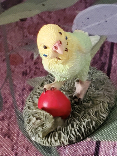 Parakeet Budgie Mini | Fairy Garden Lady