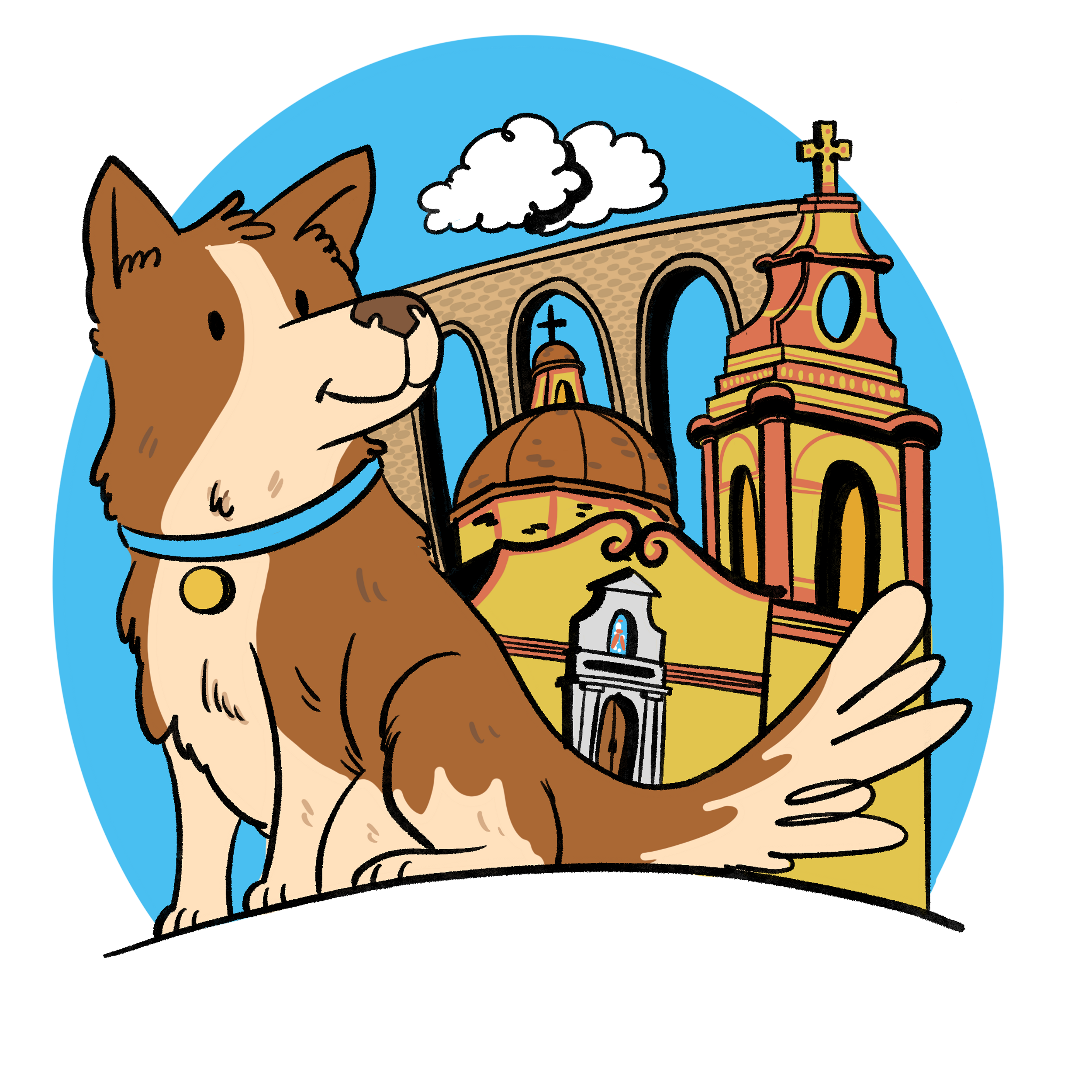 Veterinario a Domicilio en Querétaro: atención profesional y sin estrés ...