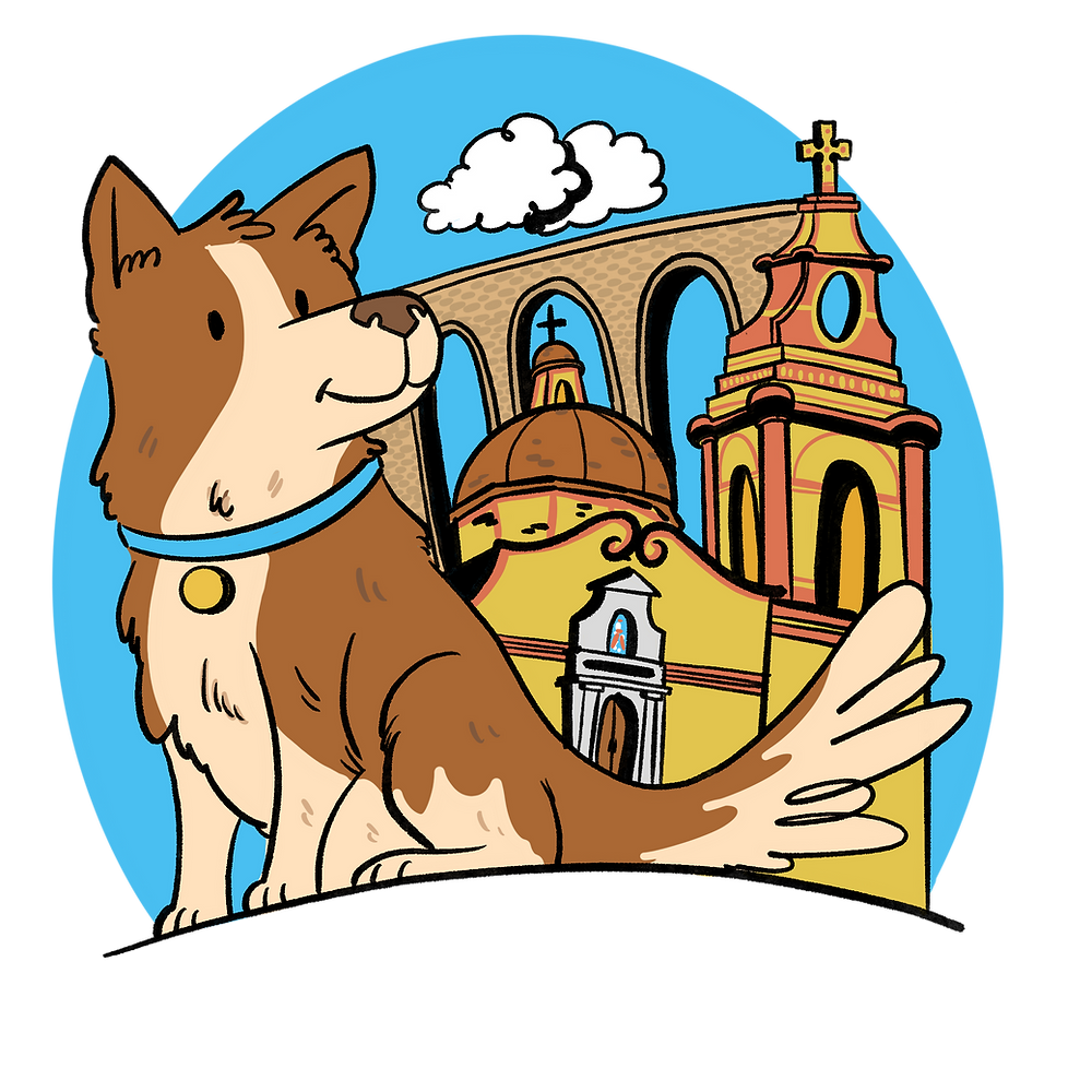 Adiestramiento Canino Queretaro Modest Dog, dog training Juriquilla ...