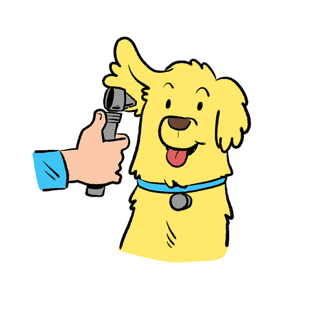 Veterinario a Domicilio: Atención Especializada para tu Mascota en ...