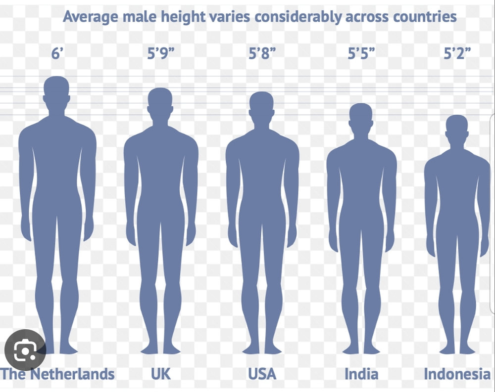 Bmp7 height formula works.