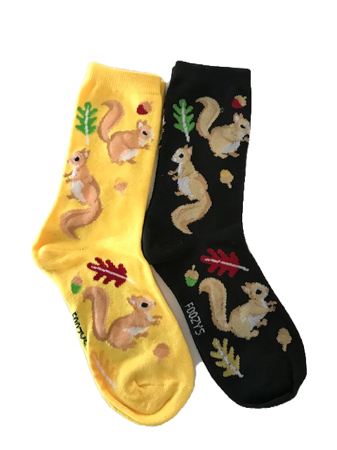 All About Animals I Socks