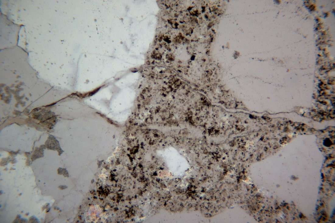 Alkali-silica Reaction (ASR) Consulting | Durability Engineers