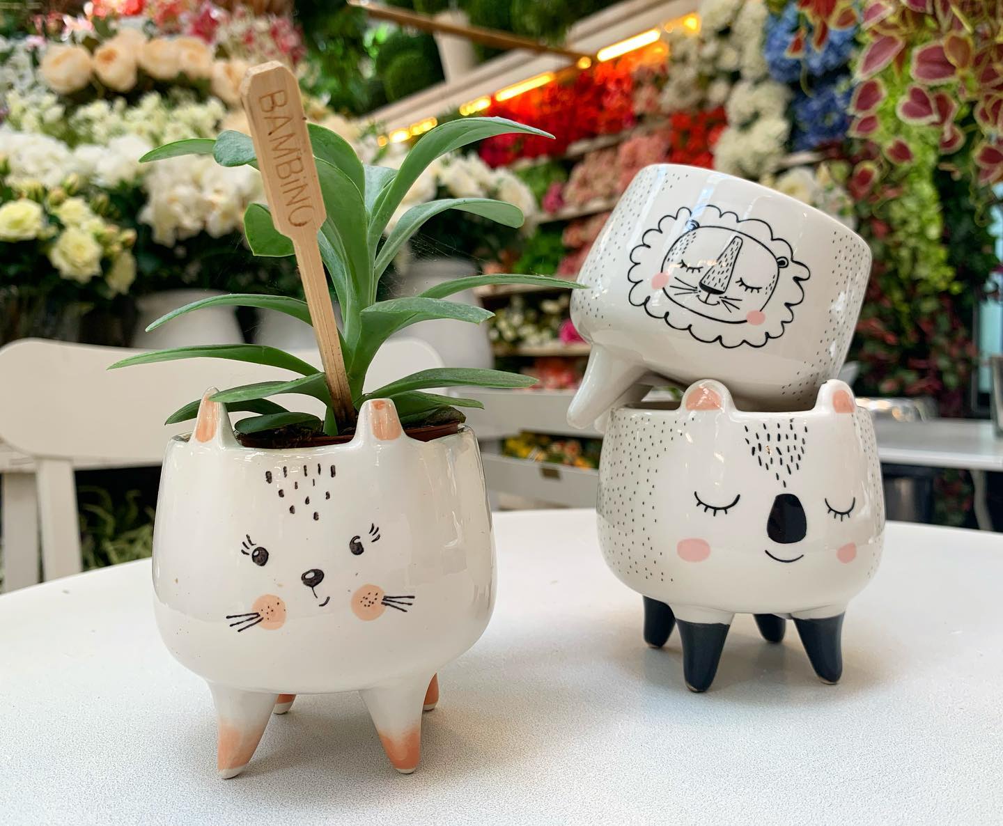 Giardinaggio | Brescia | Florarici Garden Store