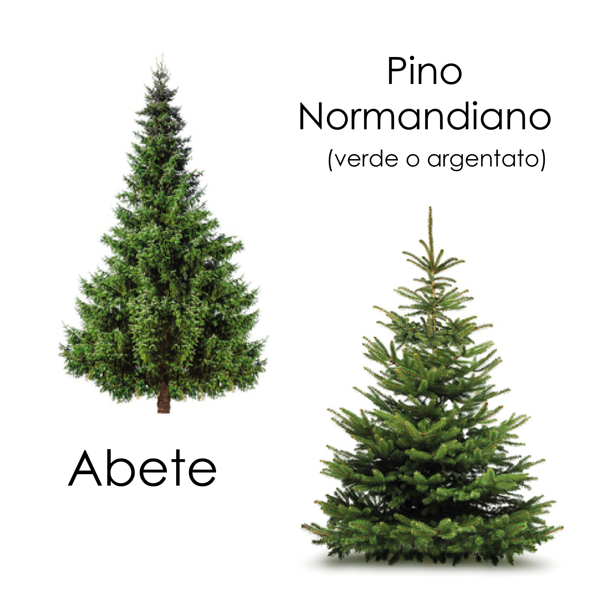 Giardinaggio | Brescia | Florarici Garden Store