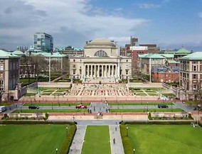 Our Chapters | Synapse National