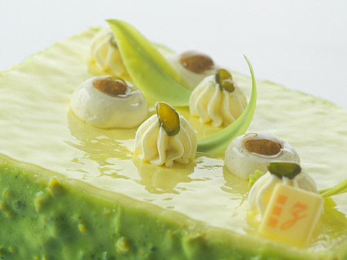 BERNARDO | JC ZIEGLER