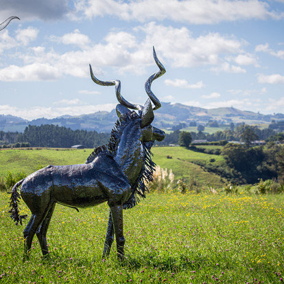 AFRICAN WILDLIFE | Steel Ranch USA