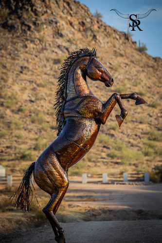 REARING HORSE | Steel Ranch USA
