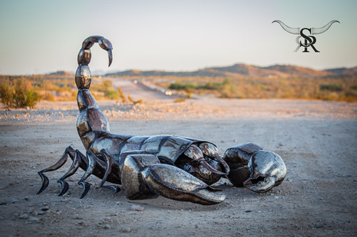 SCORPION | Steel Ranch USA