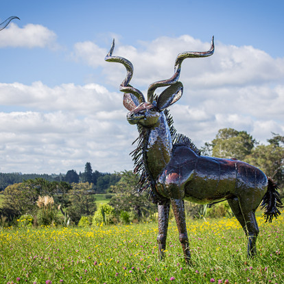 AFRICAN WILDLIFE | Steel Ranch USA