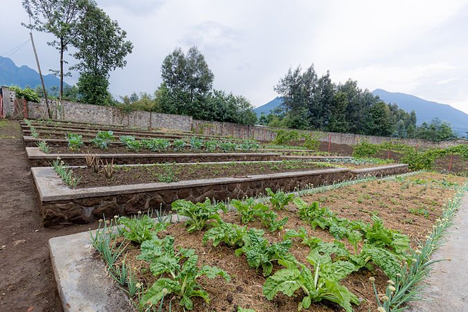 Farmhouse Rwanda | Luxury Farm experience