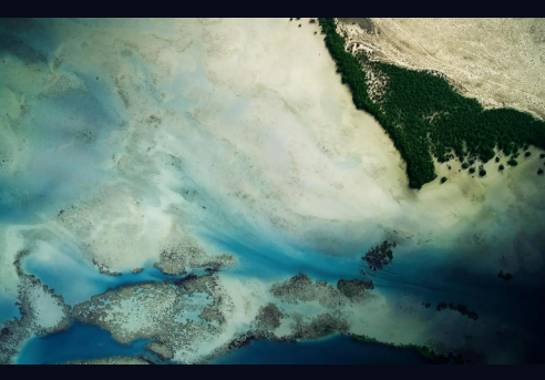 Ministry of Media's CGC unveils "Horizon" documentary with wildlife ...