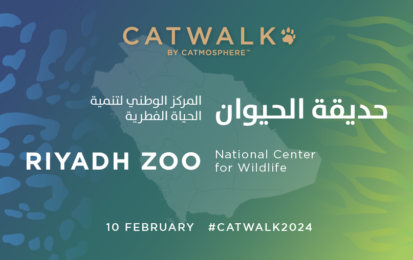 Engineer Waleed Al-Khuraiji joins Cat Walk for Arabian Leopard Day