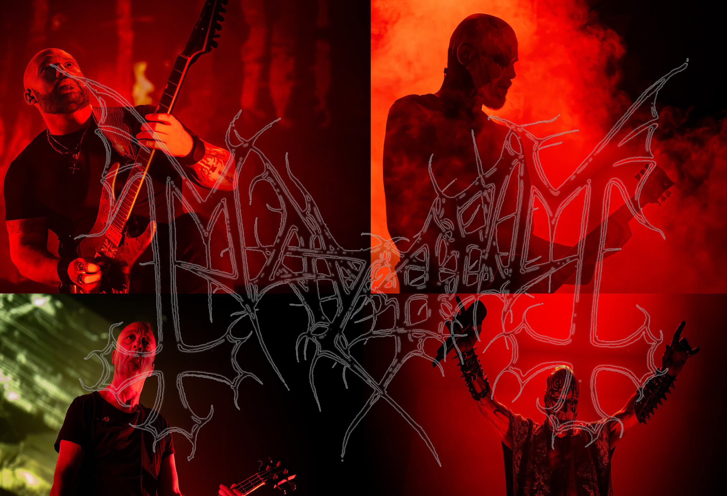 40 Years of Mayhem