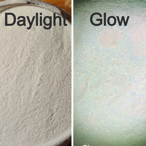 PREMIUM - WHITE TO WHITE GLOW POWDER | Wickedly Sick