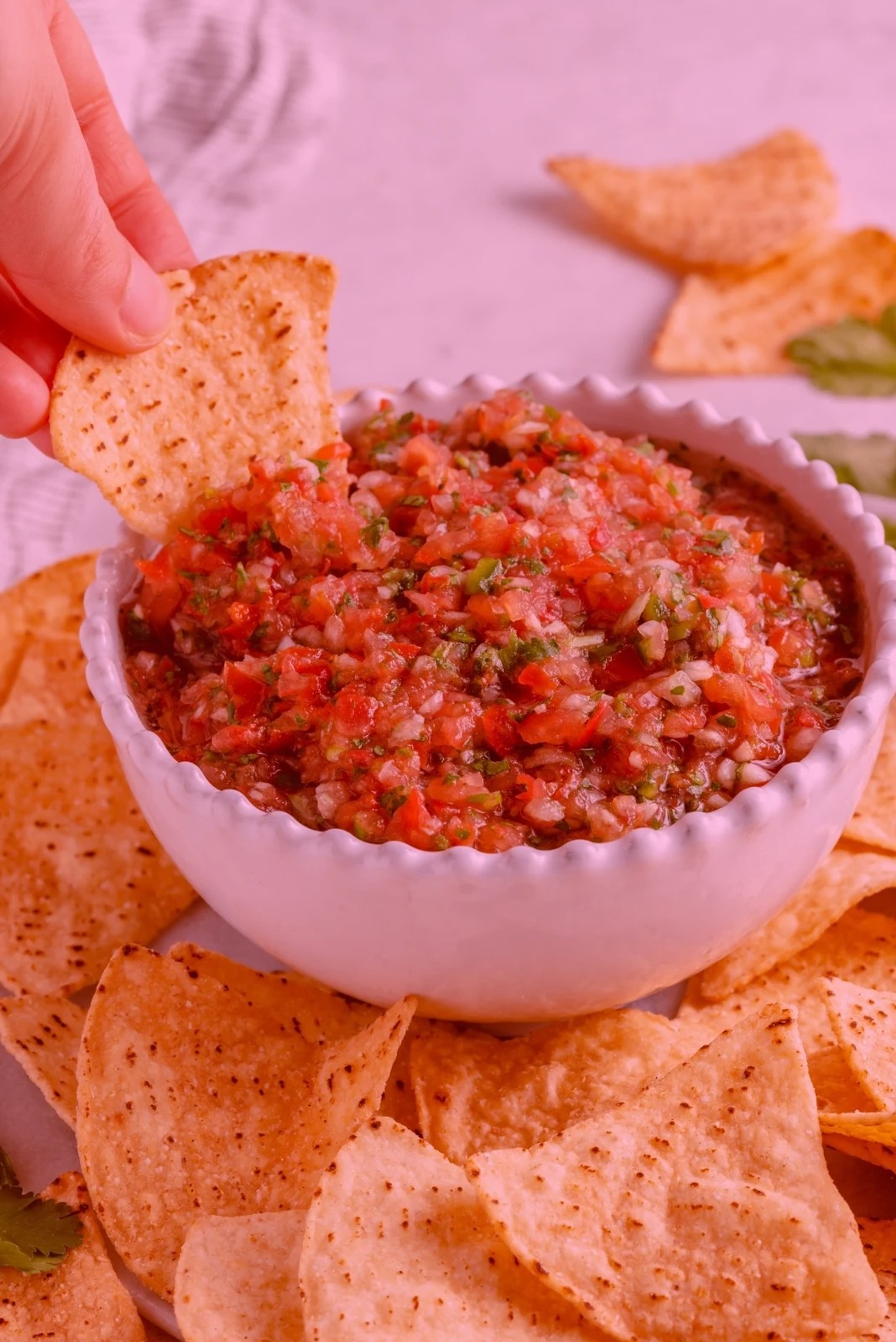Salsa Tasting Compet. | Cinco de Schuyler