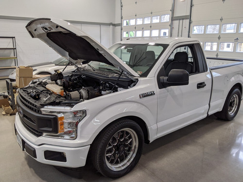 5.0 F150 WILD | mmsolutions