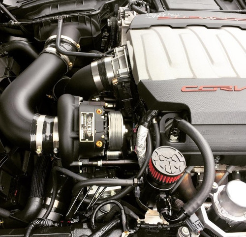 C7 Wild | mmsolutions