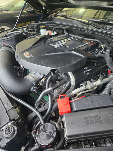 Blackwing Mild | mmsolutions