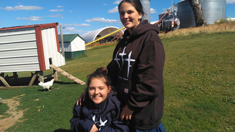 Shop | Todd Family Farm