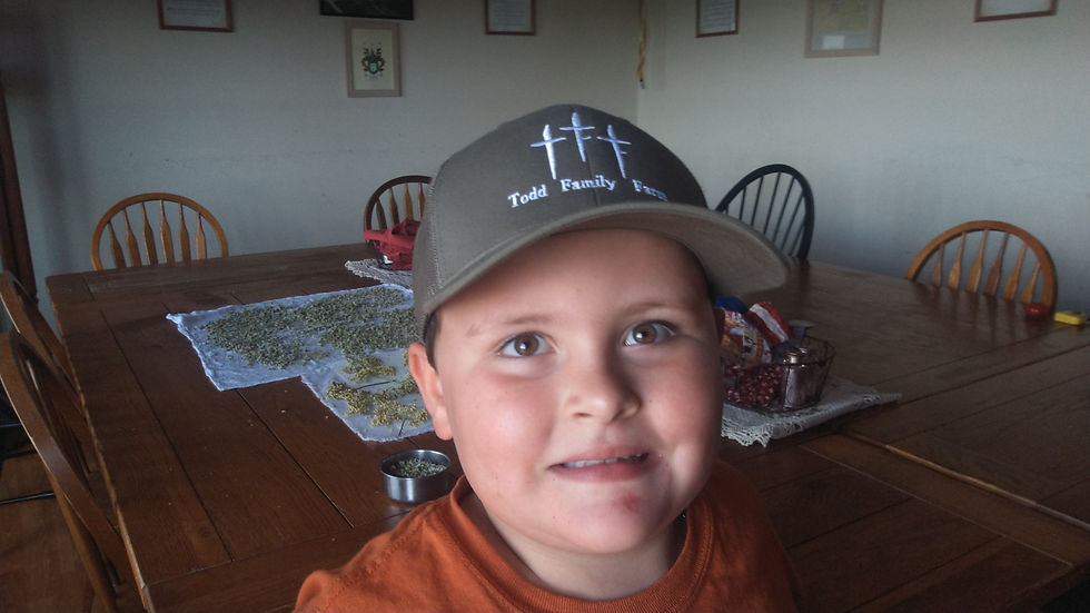 Home | Todd Family Farm