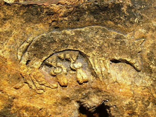 Wolves in Myths I ArticHaeology / Articles on History