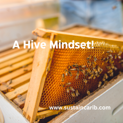 Hive Mindset: How Bees Inspire Effective Teamwork and Employee Development